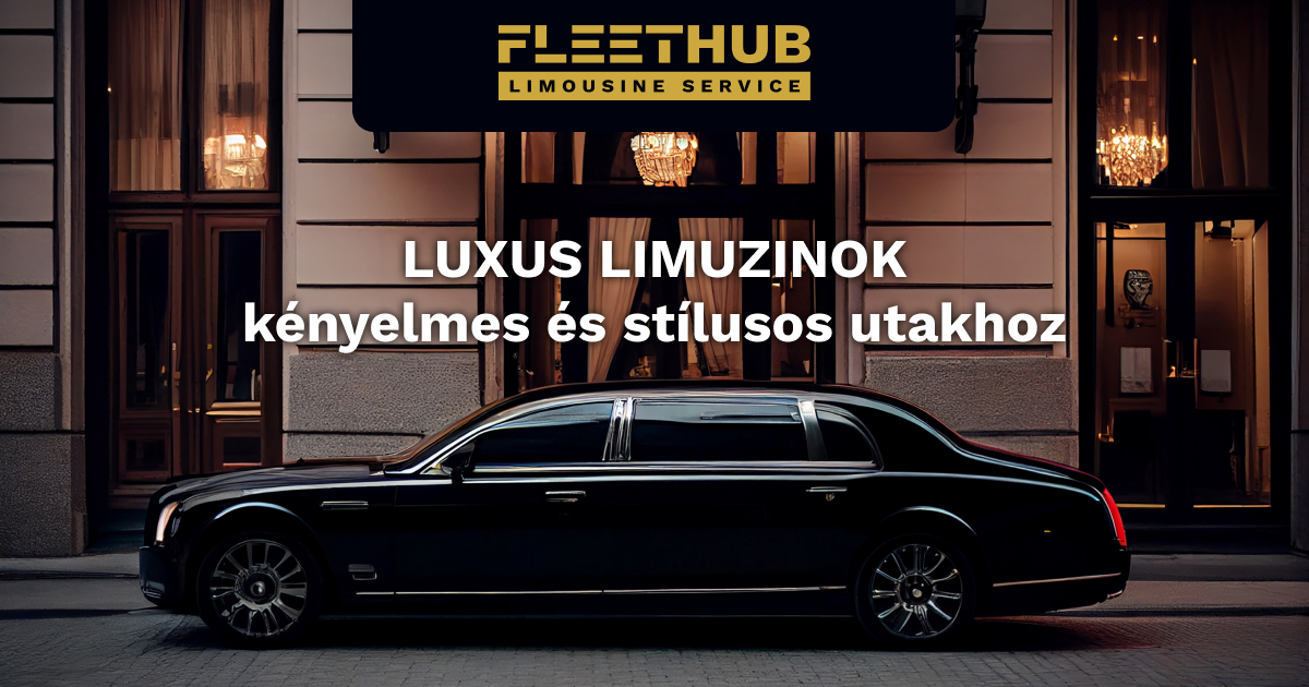 Fleethub - Luxus limuzin sofőrrel - Reptéri transzfer, üzleti út